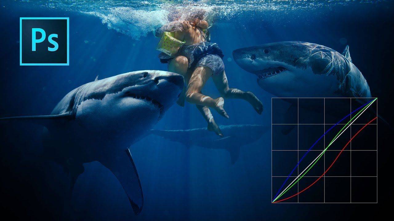 Color Grading with Curves in Photoshop