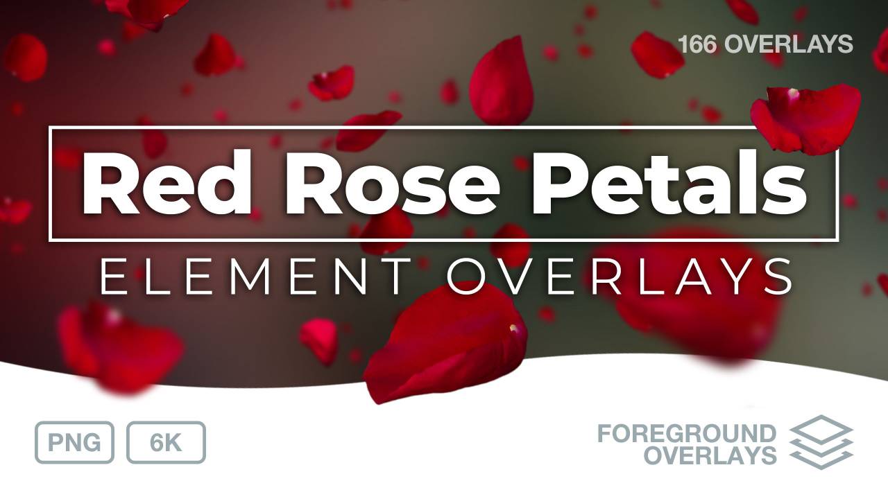 Red Rose Petals Element Overlays