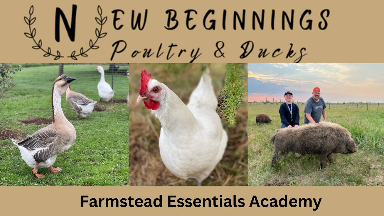 Farming Essentials Academy