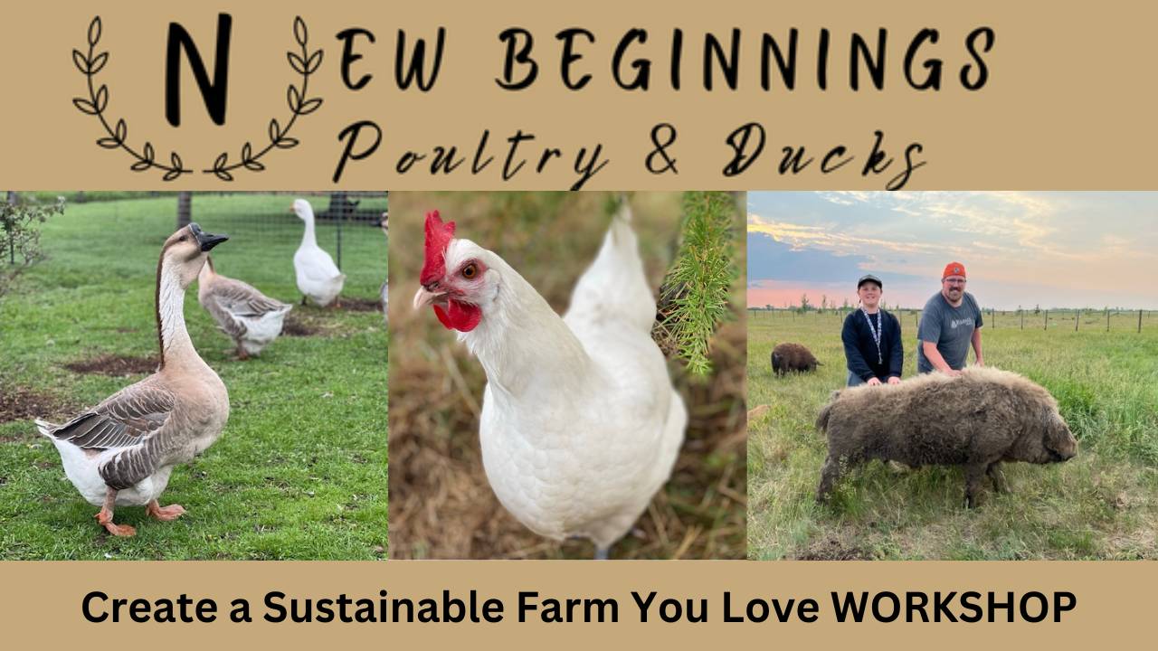 Create a Sustainable Farm You Love Workshop