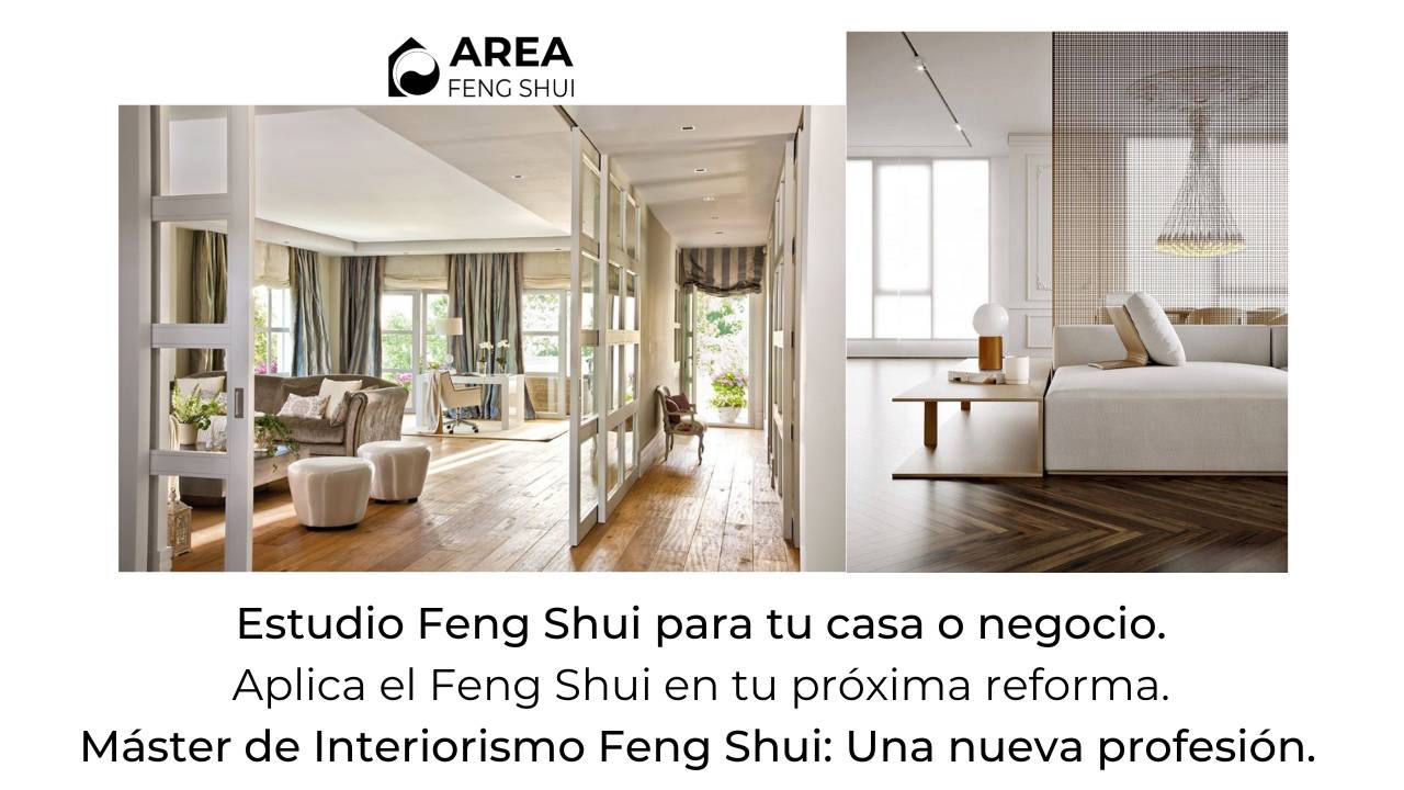 Proyecto Feng Shui