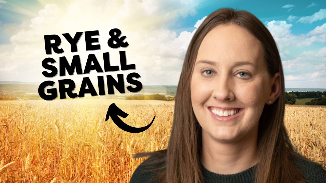 Sally Jones-Diamond: Rye’s yield potential | Ep. 46