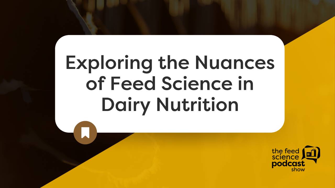 Exploring the Nuances of Feed Science in Dairy Nutrition