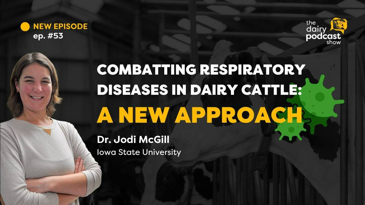 #53 - Combatting Respiratory Diseases in Dairy Cattle: A New Approach