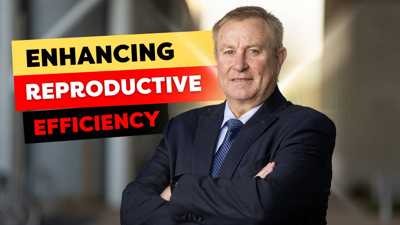 Dr. Cliff Lamb: Synchronization Strategies for Cattle | Ep. 131