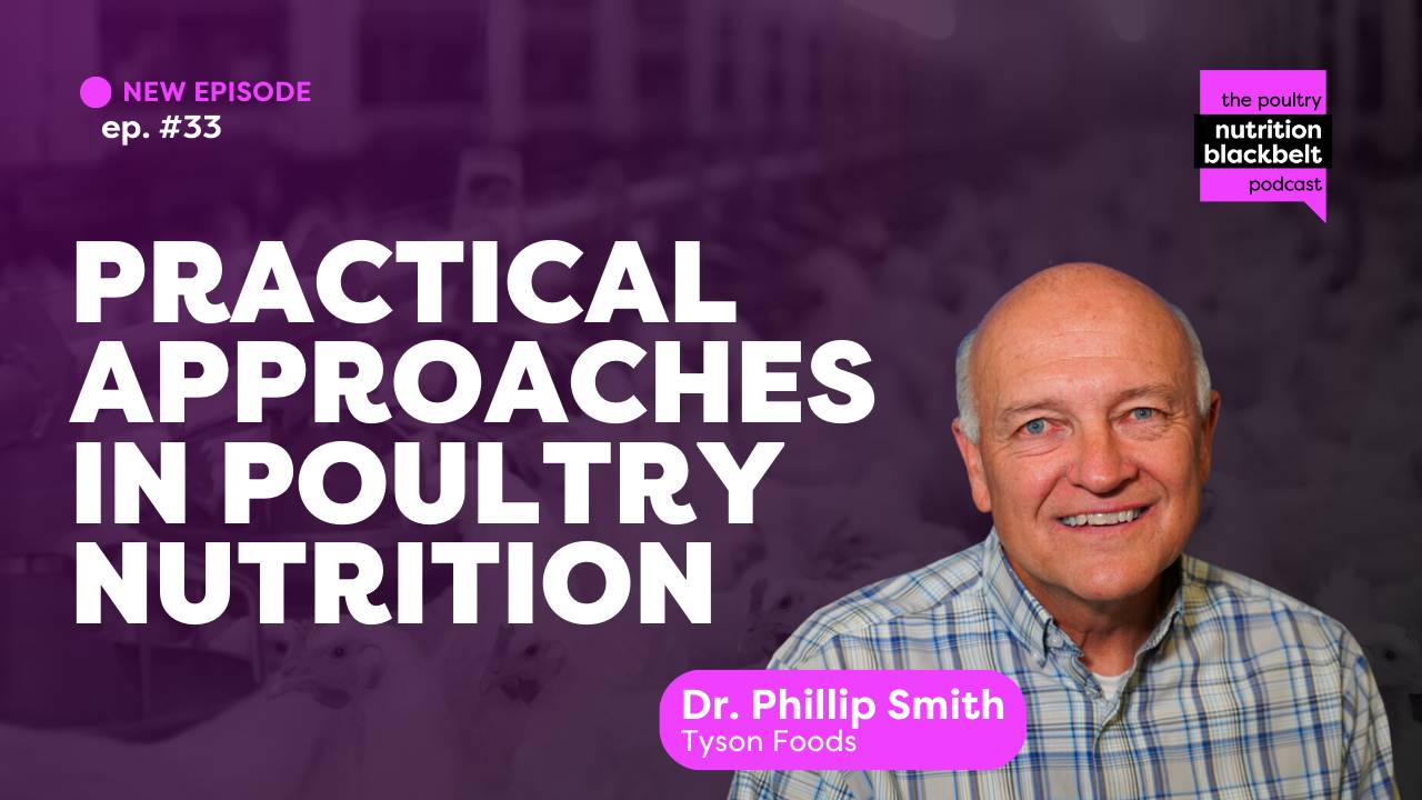 Dr. Phil Smith: Practical Approaches in Poultry Nutrition | Ep. 33