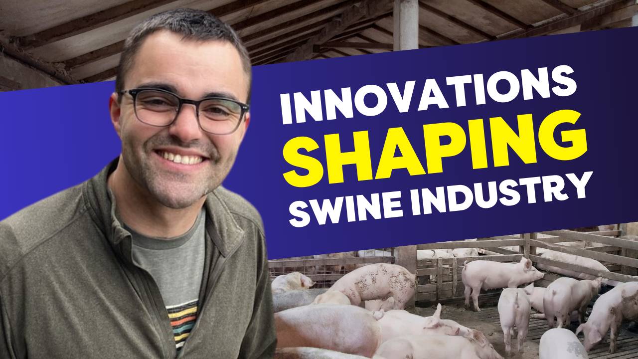 Dr. Cordell Young: Innovation Strategies in Swine | Ep. 79