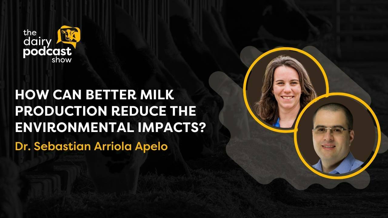 How can better milk production reduce the environmental impacts?