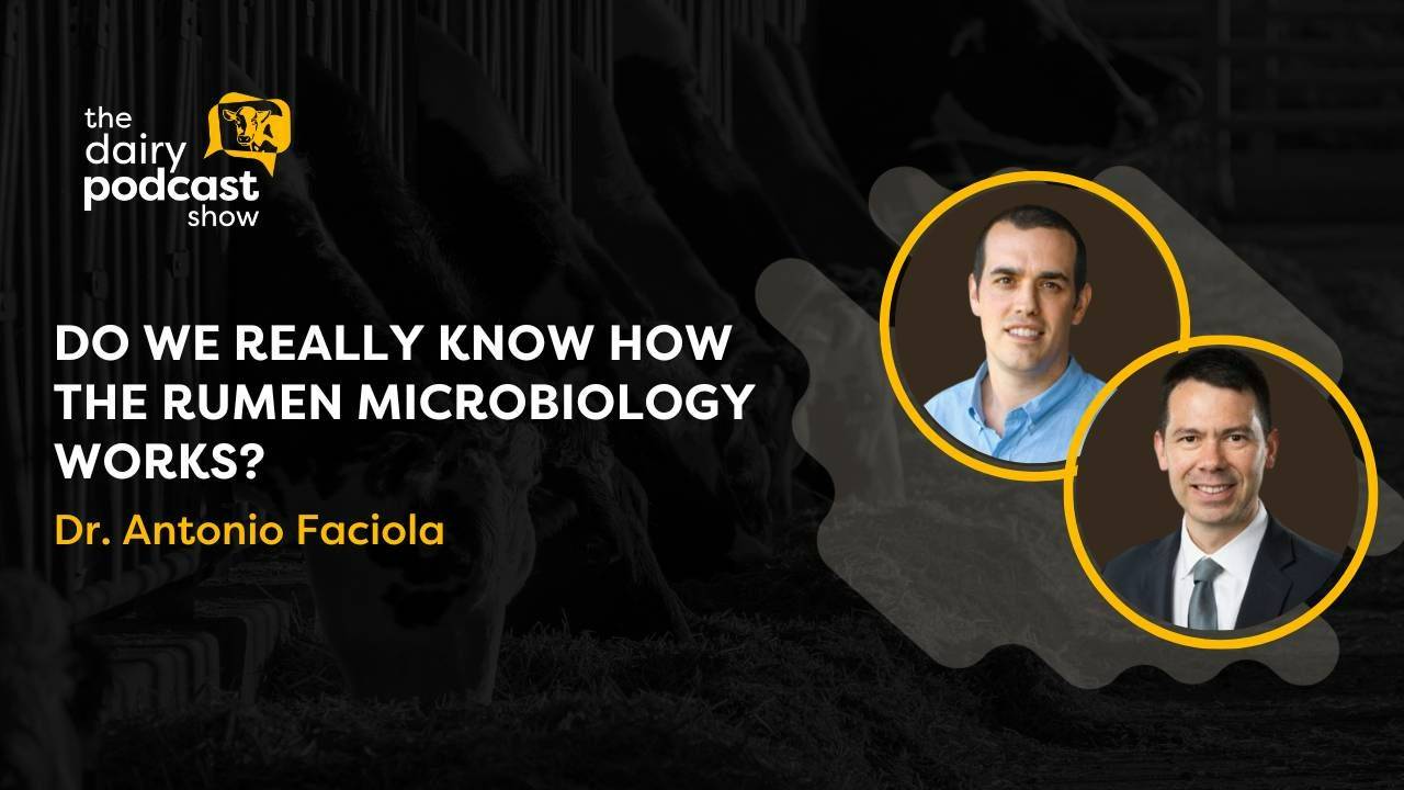 Do we really know how the rumen microbiology works?