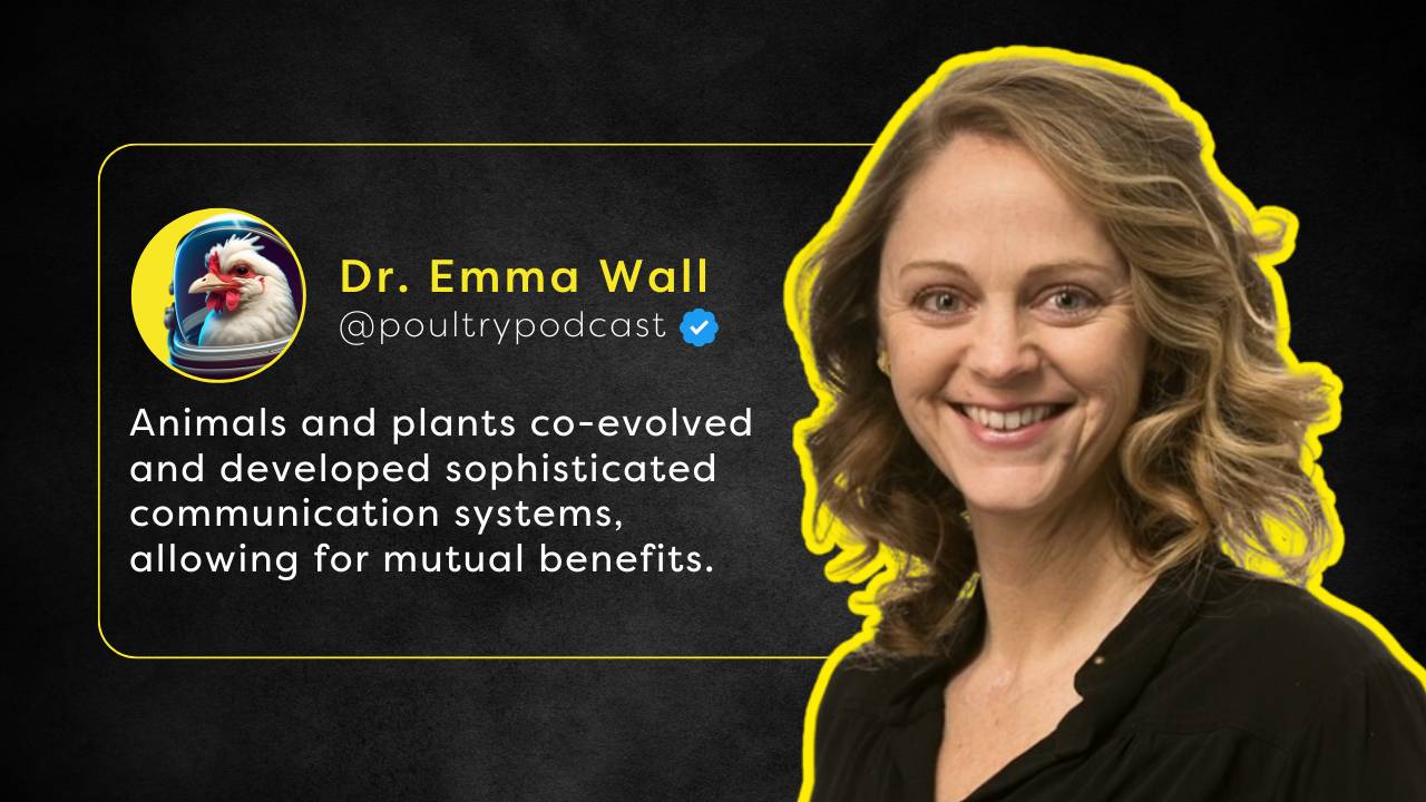 Dr. Emma Wall: Phytotechnology in Poultry Feed | Ep. 97