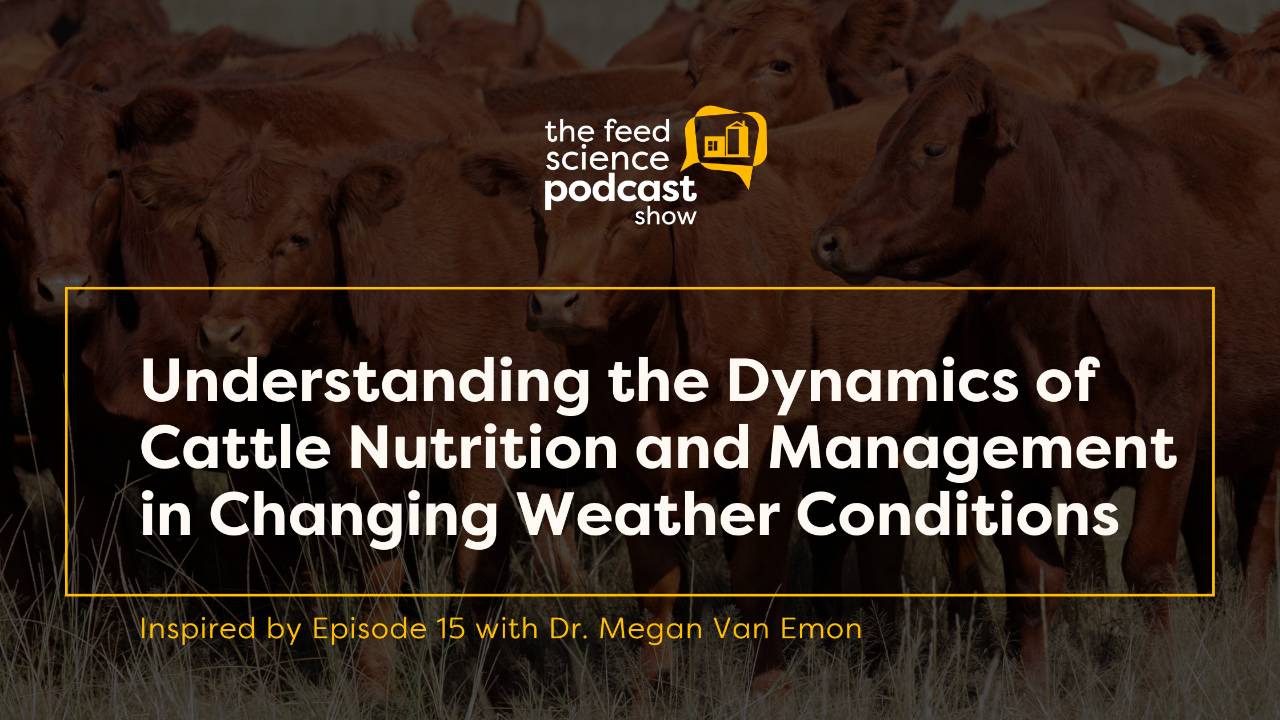 Understanding the Dynamics of Cattle Nutrition