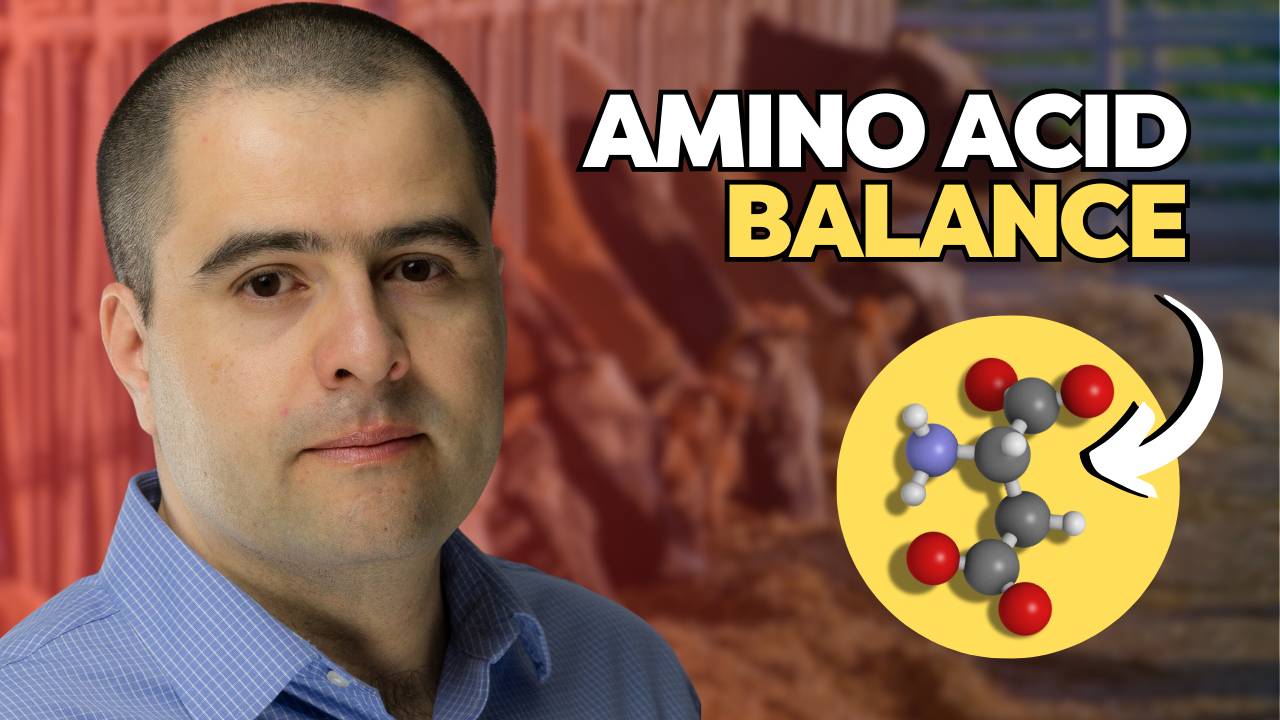 Dr Sebastian Apelo Nitrogen Efficiency In Cattle Ep 103