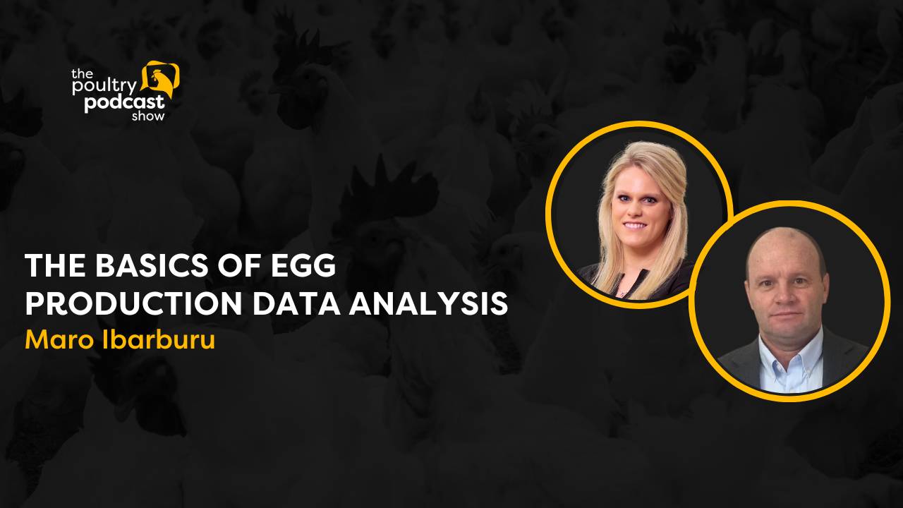 #10 - The basics of egg production data analysis