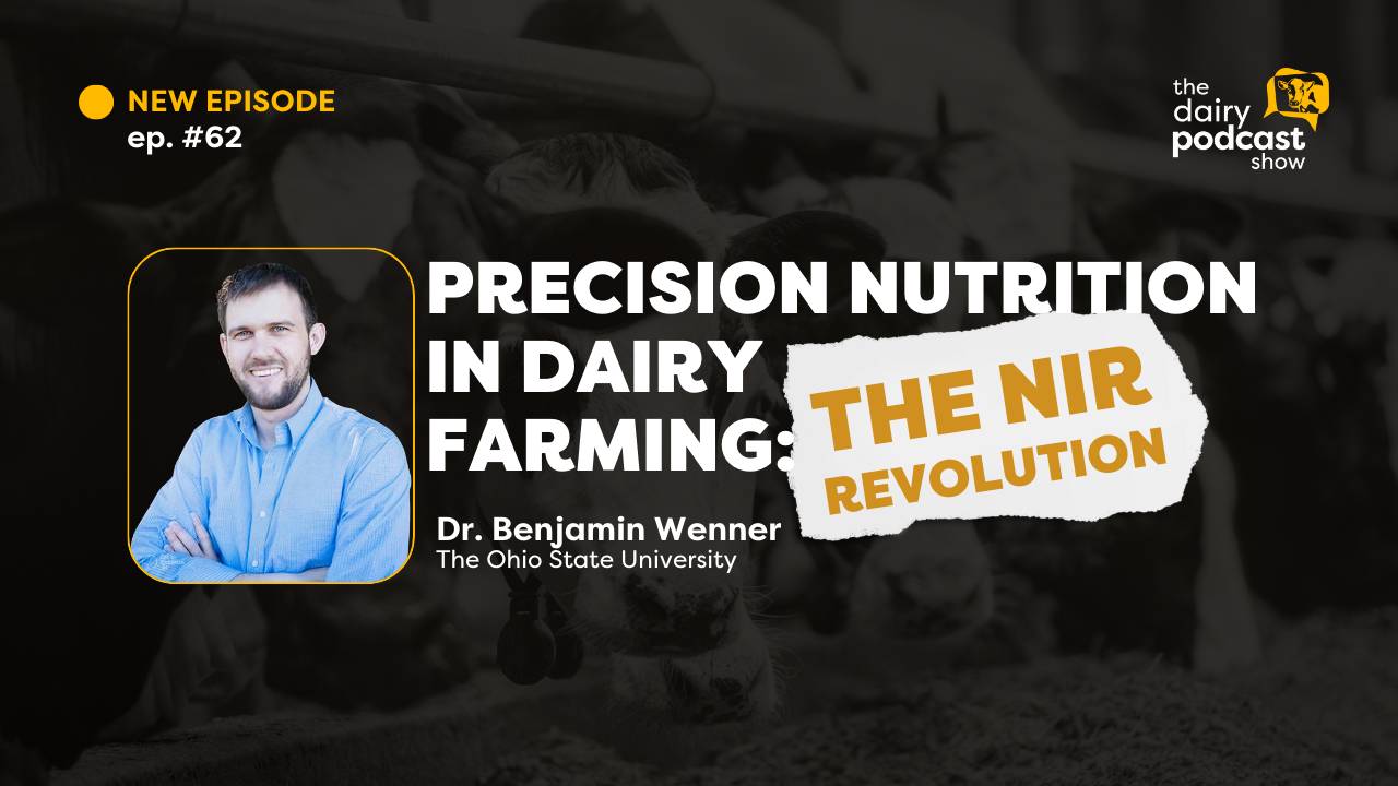 Precision Nutrition in Dairy Farming: The NIR Revolution