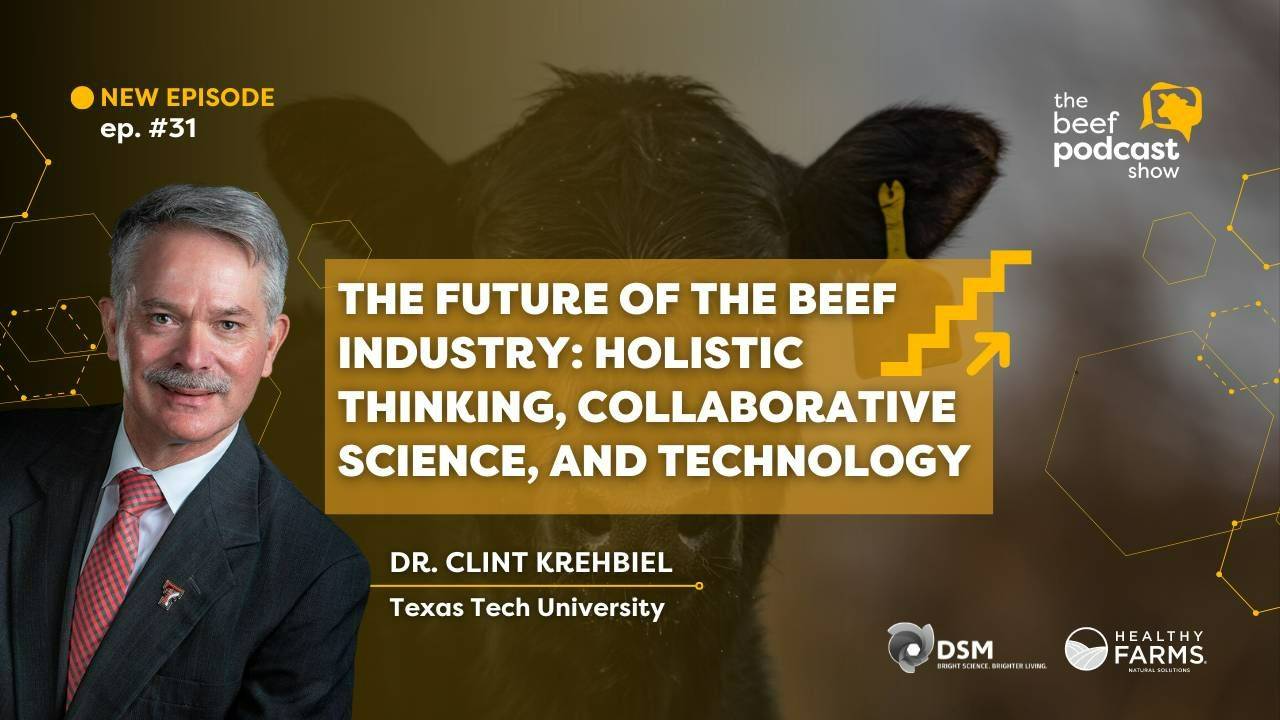 #31 - The future of the beef industry: holistic thinking