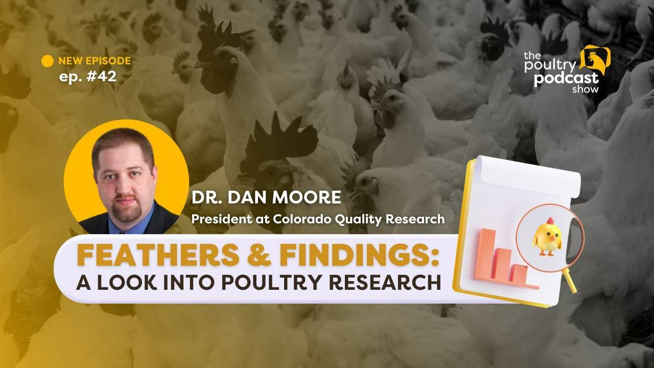#42 - Feathers and Findings: A Look into Poultry Research