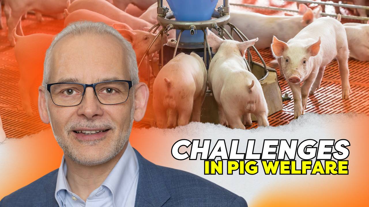 Robert Hoste: Global Animal Welfare Trends | Ep. 82