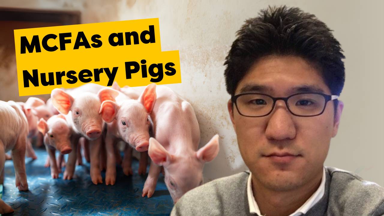 Dr. Young Dal Jang: Medium Chain Fatty Acids in Feed | Ep. 97