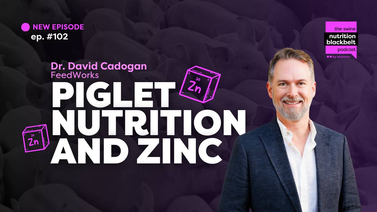 Dr. David Cadogan: Piglet Nutrition and Zinc | Ep.102