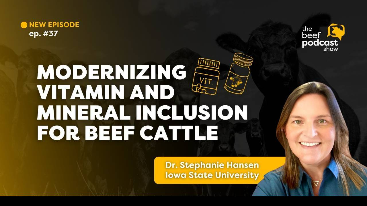 #37 - Modernizing Vitamin and Mineral Inclusion for Beef Cattle