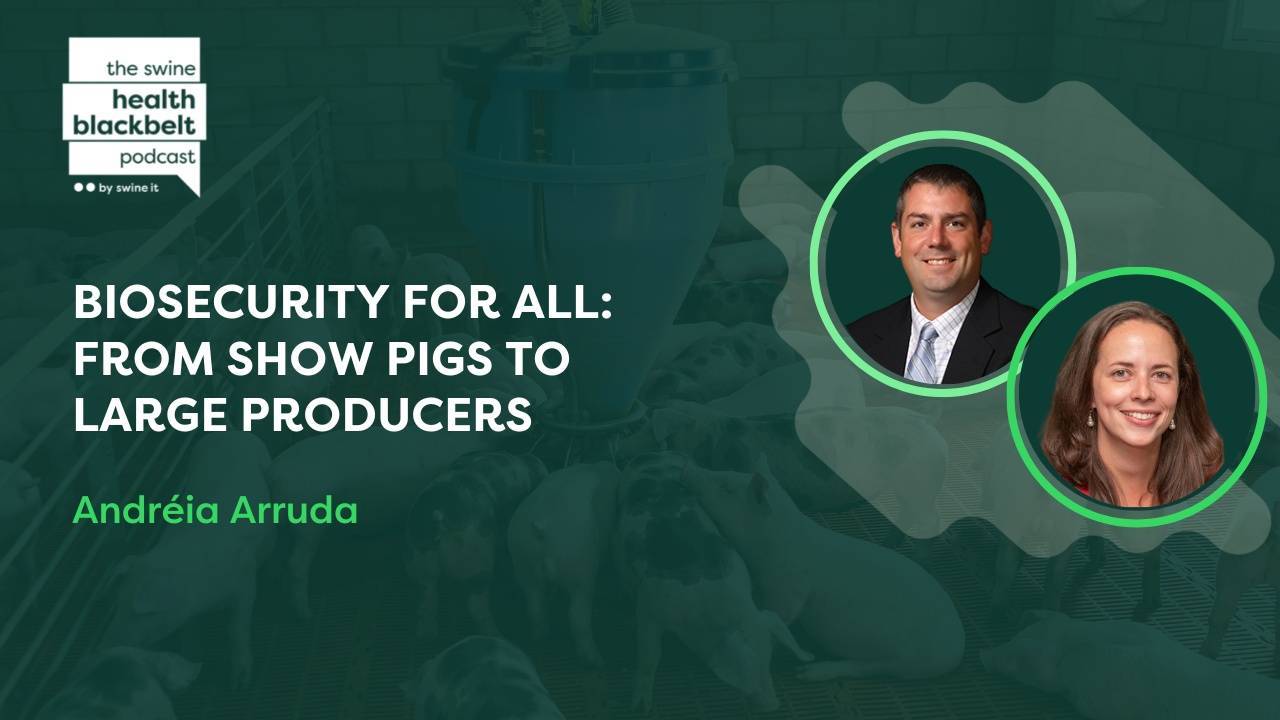 Biosecurity for all: From show pigs to large producers