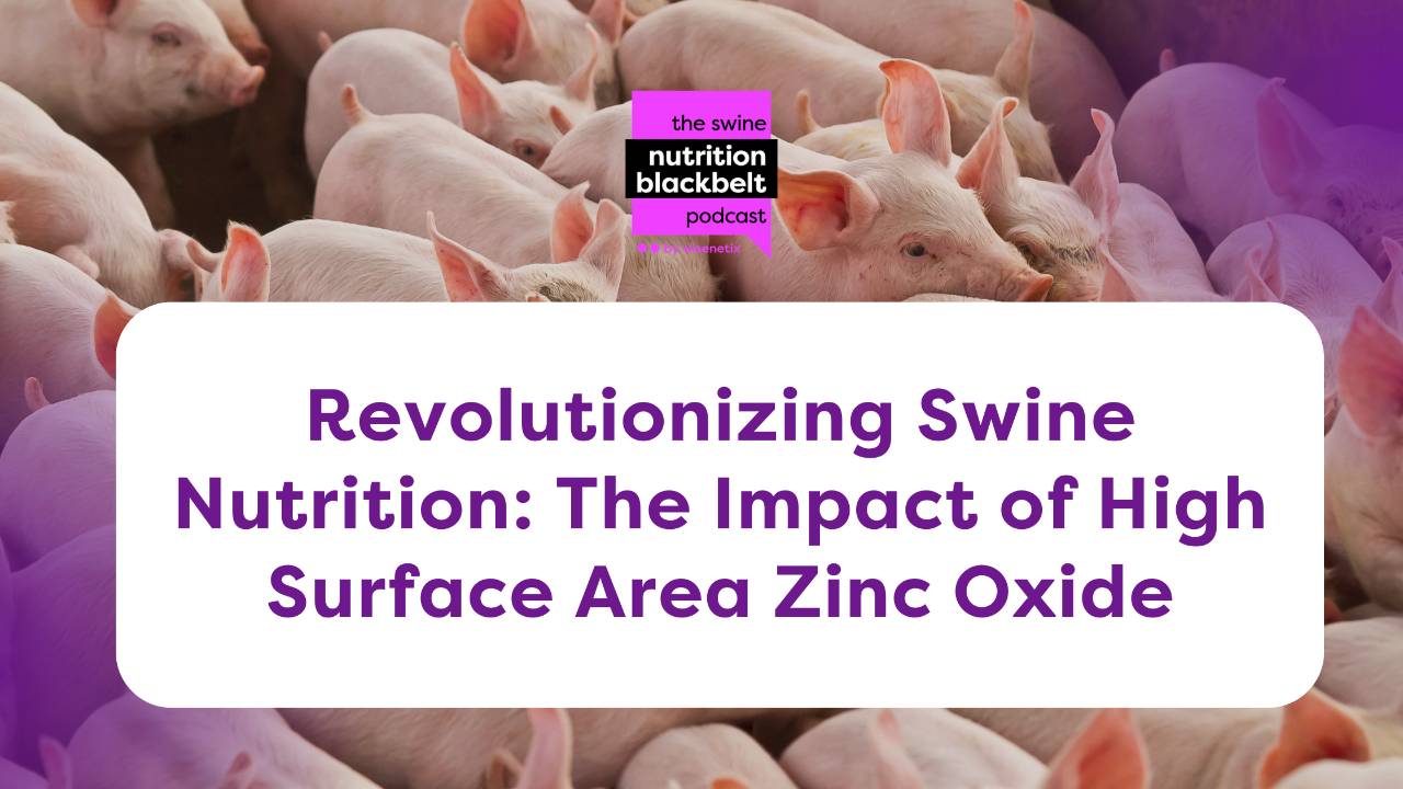 Revolutionizing Swine Nutrition