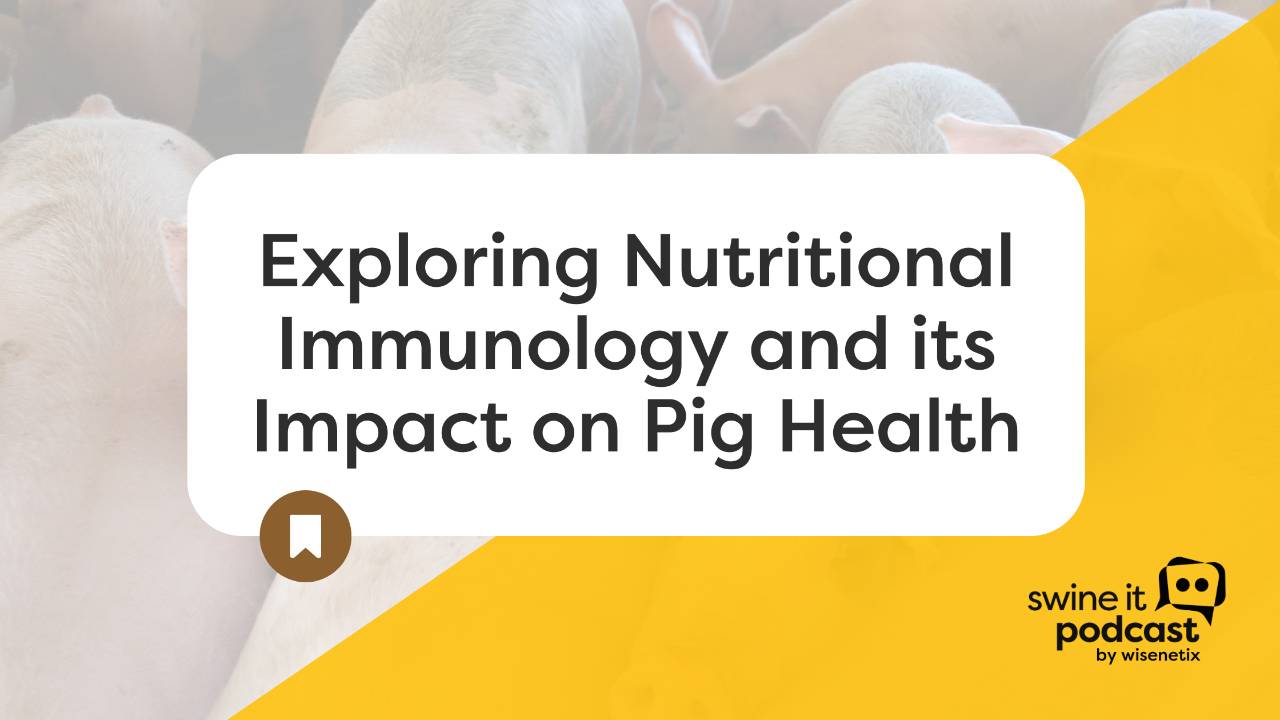 Exploring Nutritional Immunology and its Impact on Pig Health