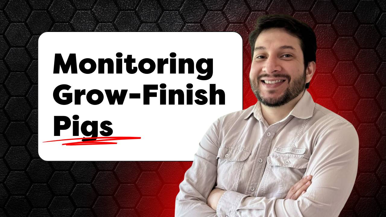 Marcello Melini: Tongue Tip Fluid in the Growing Herd | Ep. 158