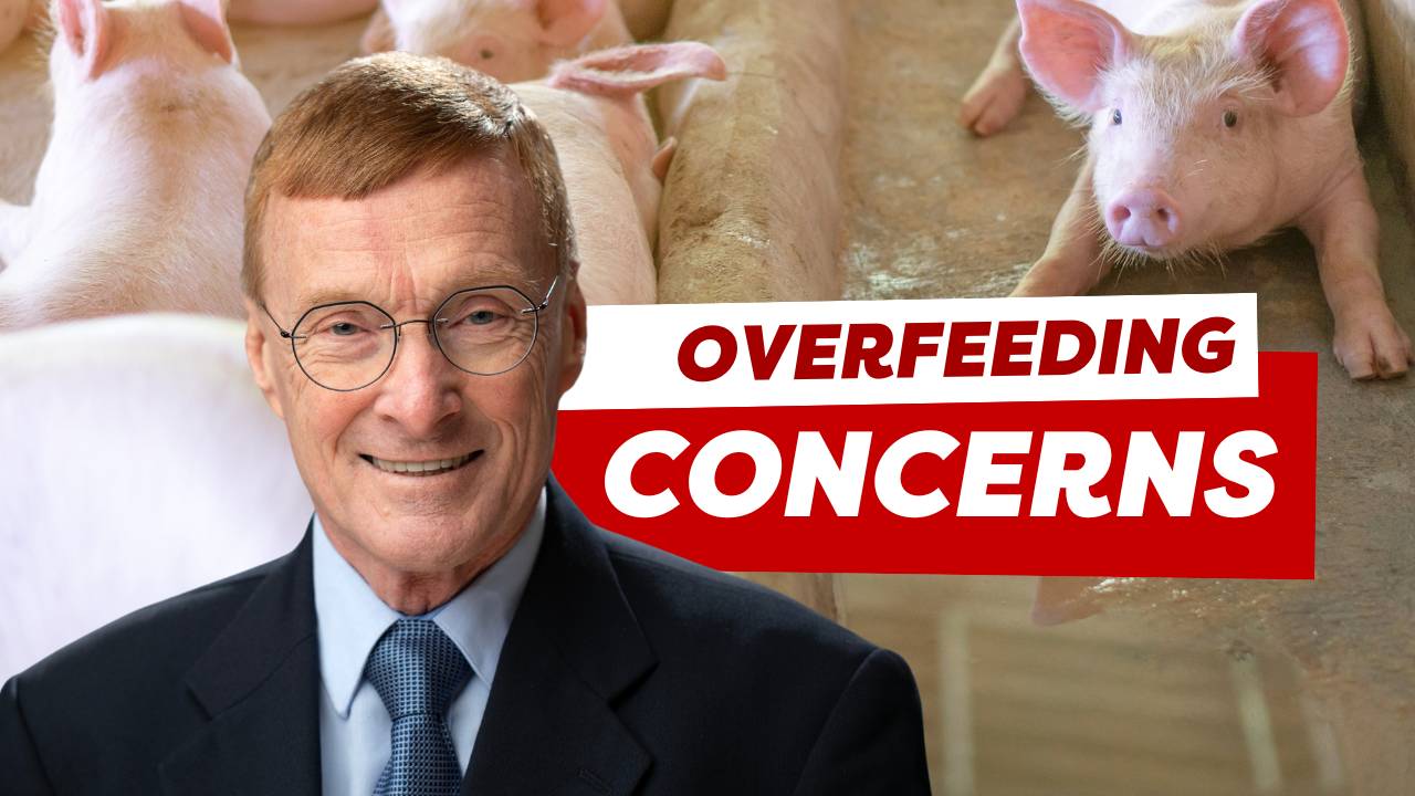 Dr. Tom Crenshaw: Phosphorus in Swine Diets - Part 2 | Ep. 147