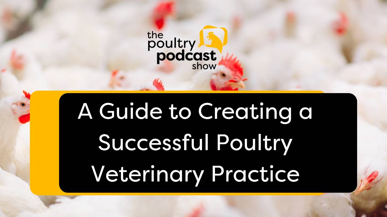 A Guide to Creating a Successful Poultry Veterinary Practice