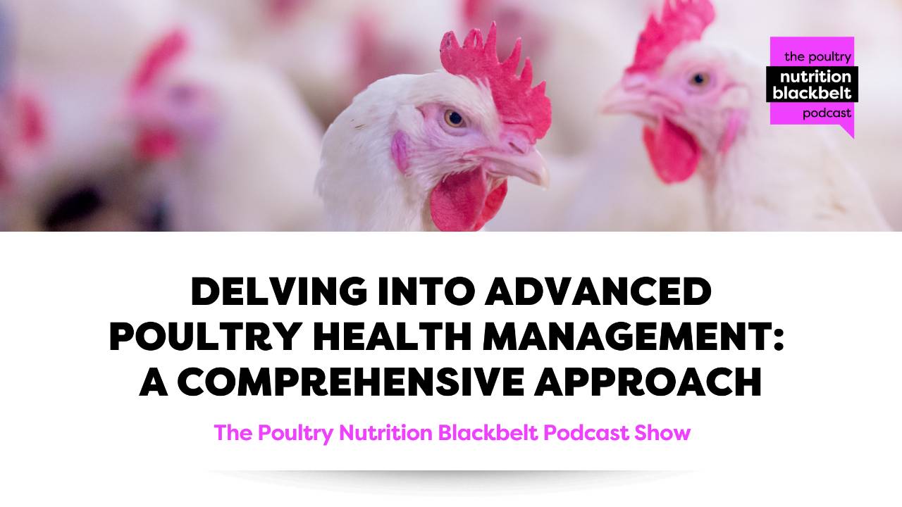 Delving into Advanced Poultry Health: A Comprehensive Approach