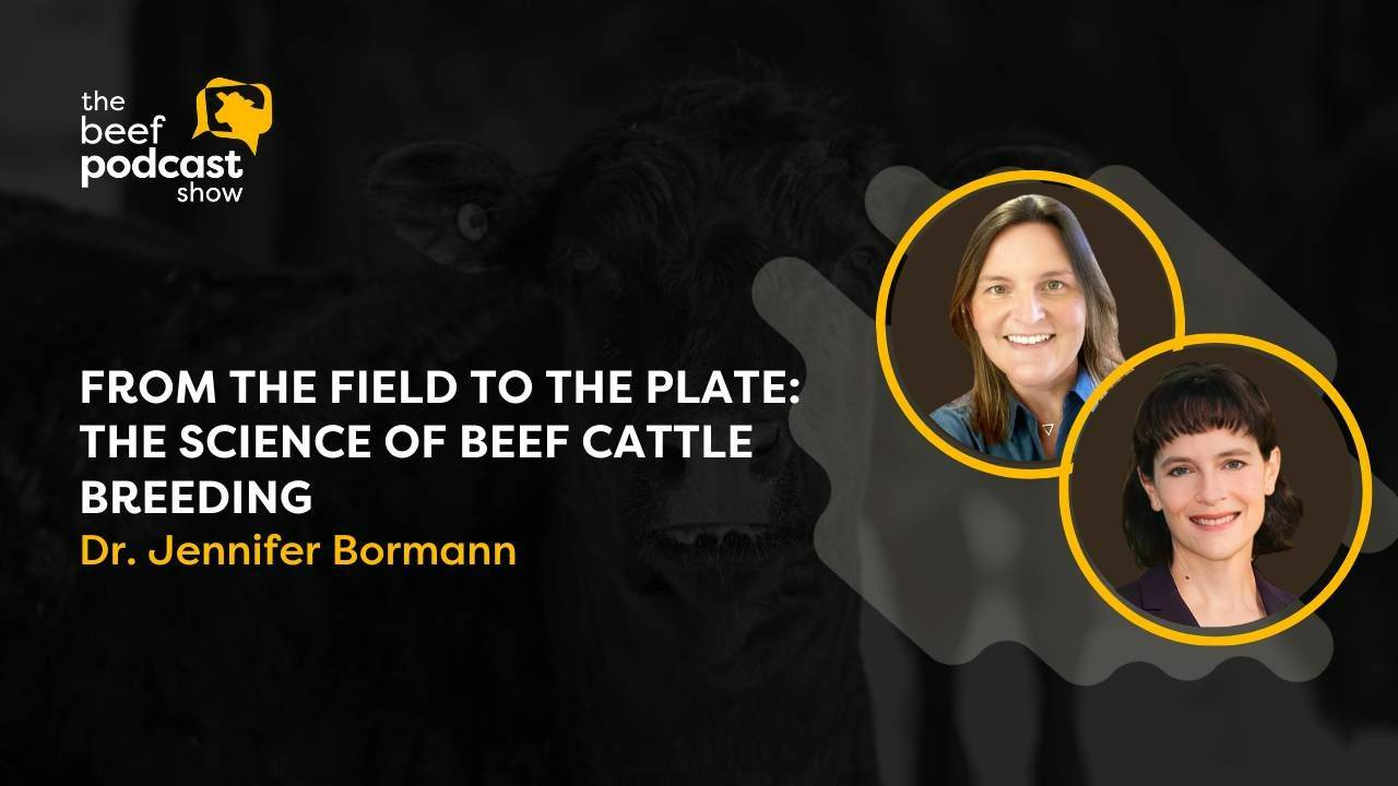 #12 - From the field to the plate: the science of beef cattle breeding