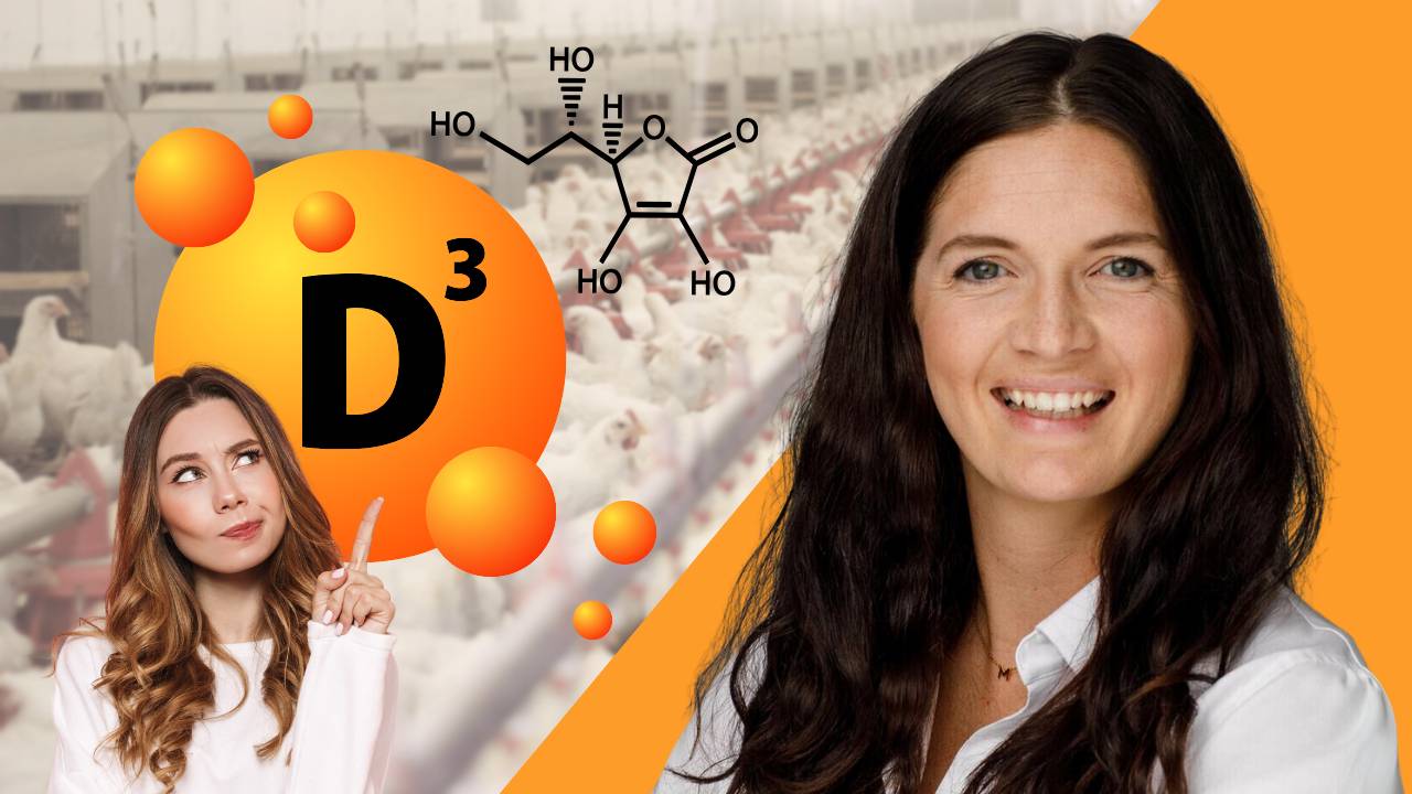 Shelby Corray: Vitamin D3 in Poultry Nutrition | Ep. 109