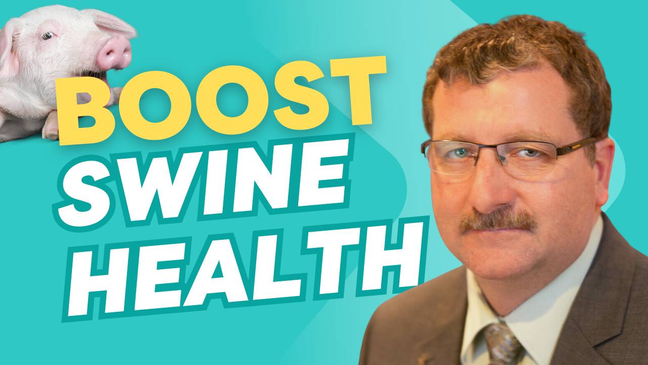 Dr. James Kober: Optimal Water for Swine | Ep. 244