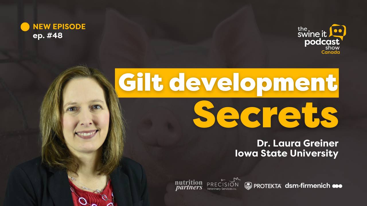 Dr. Laura Greiner: Gilt Development Secrets | Ep. 48