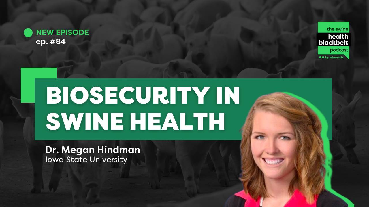 Biosecurity in Swine Health