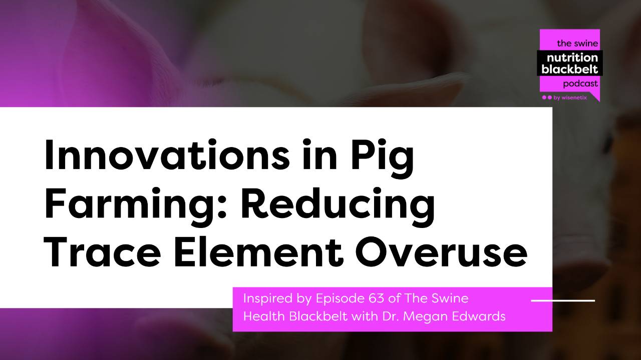 Innovations in Pig Farming: Reducing Trace Element Overuse