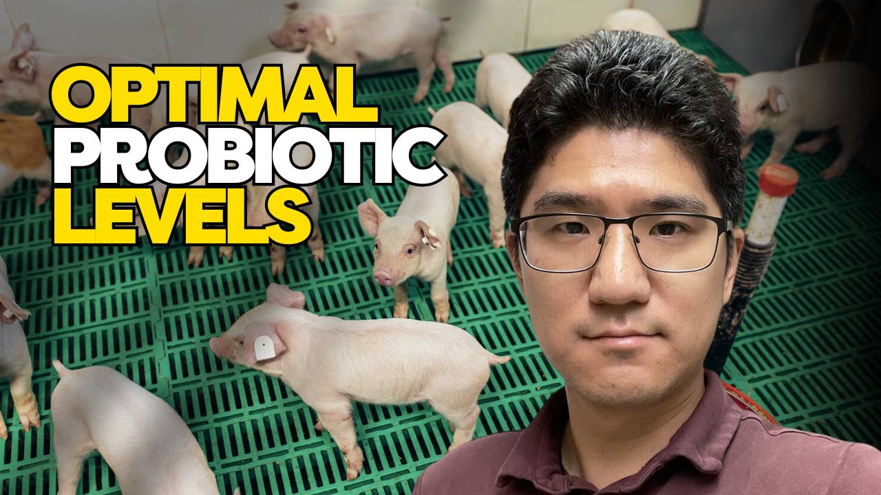 Dr. Young Dal Jang: High-Dose Probiotics in Nursery Pigs | Ep. 132