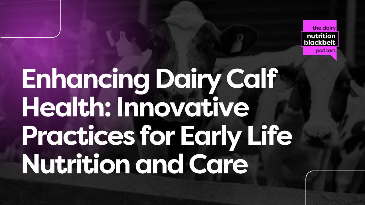 Calf Health: Innovative Practices for Early Life Nutrition and Care