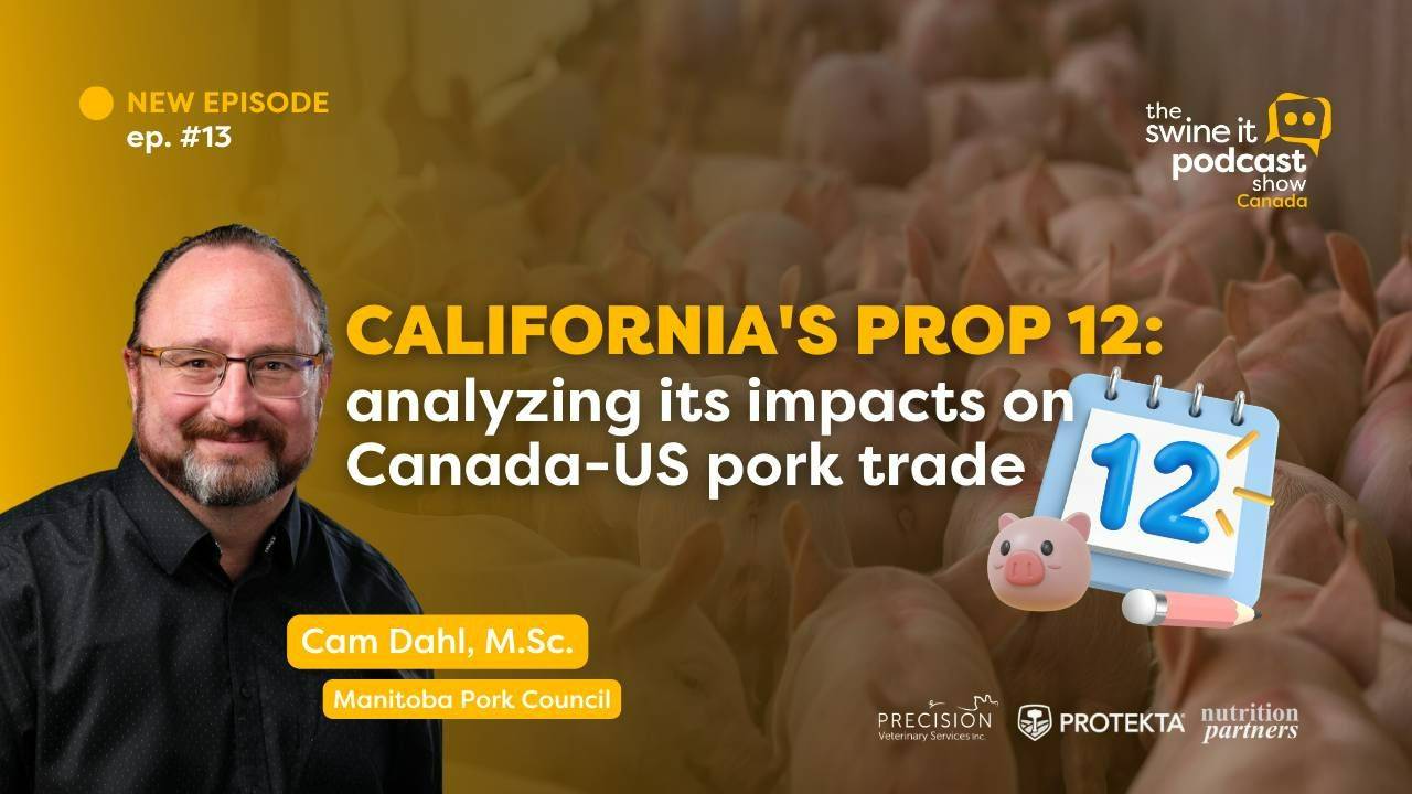 #13-California's Prop 12:analyzing its impacts on Canada-US pork trade