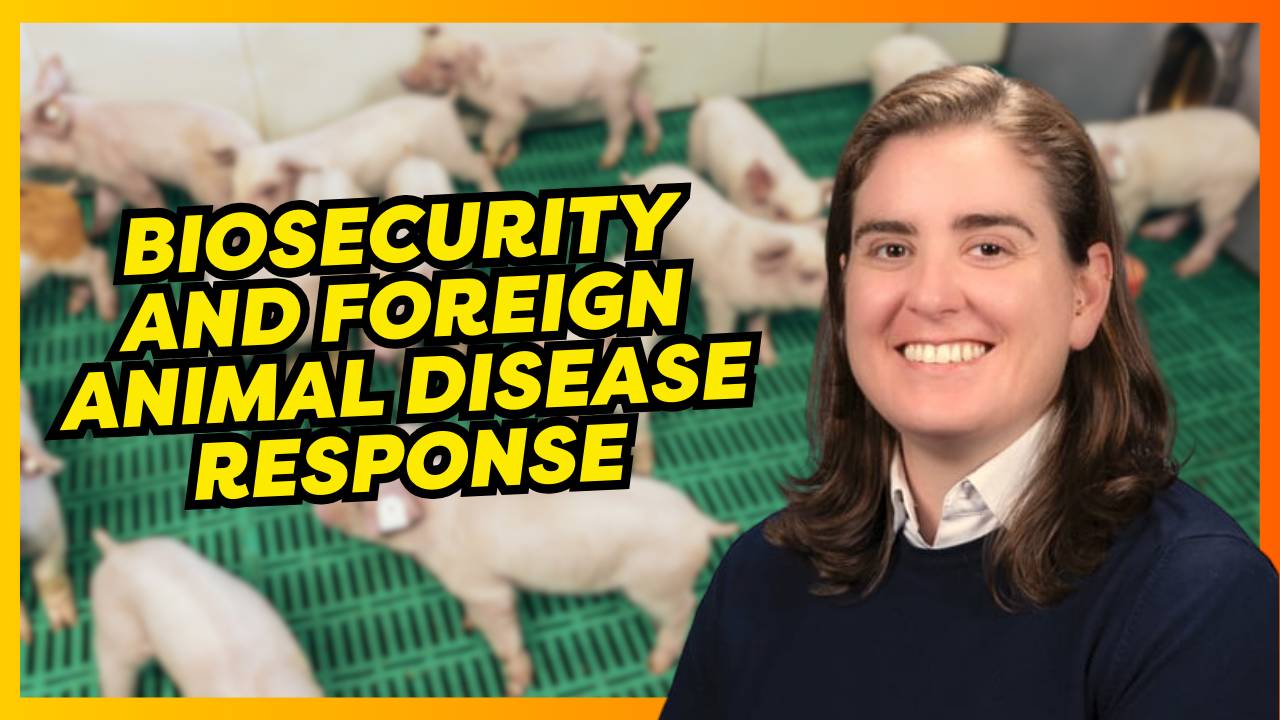 Dr. Marisa Rotolo: Swine Disease Research Task Force | Ep. 136