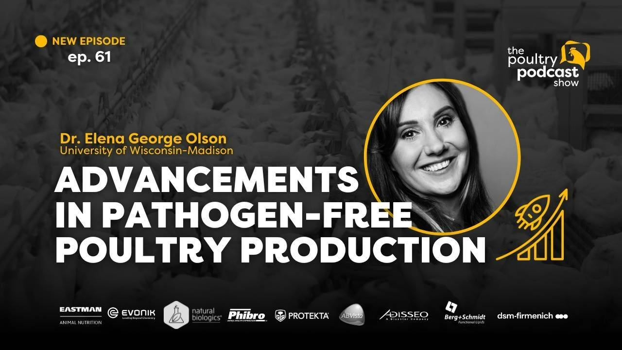 #61 - Advancements in Pathogen-Free Poultry Production