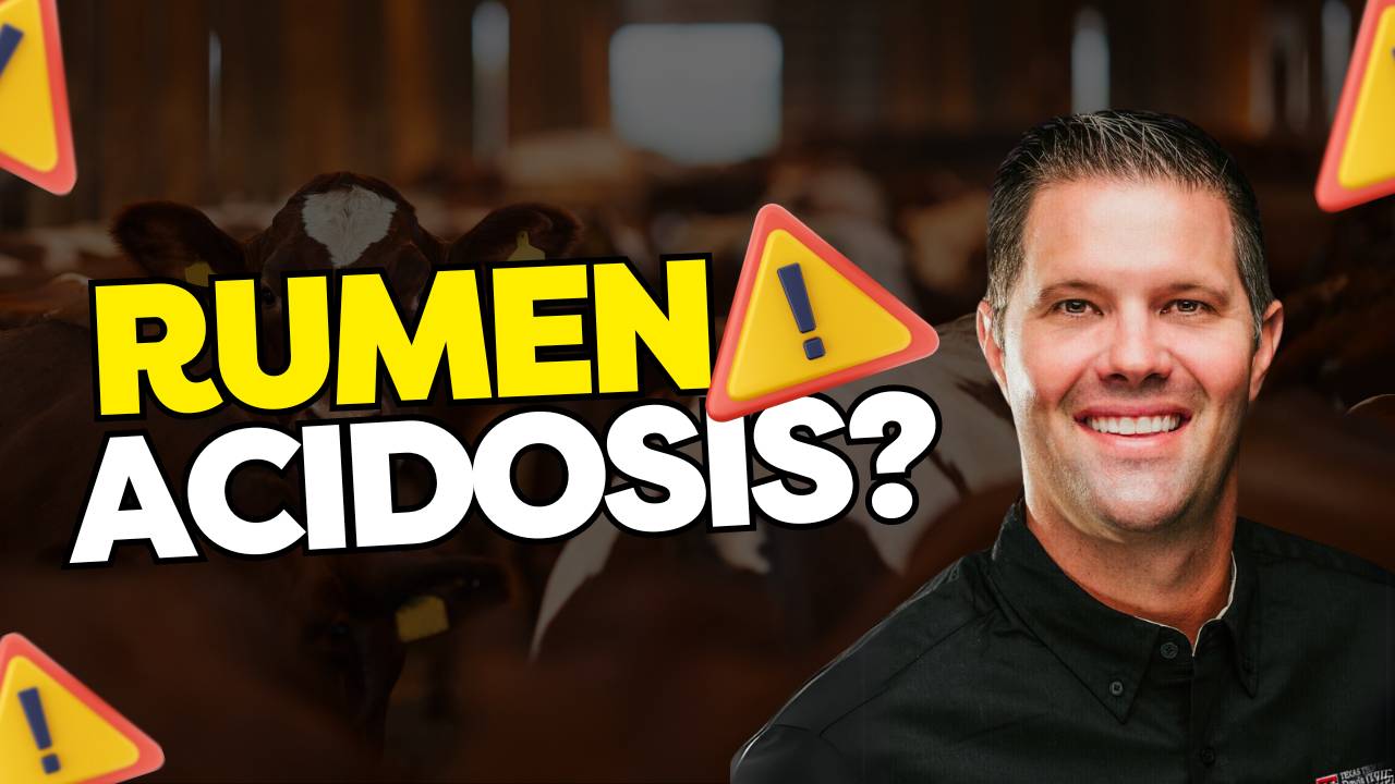 Dr. Michael Ballou: Rumen Health Revelations | Ep. 77