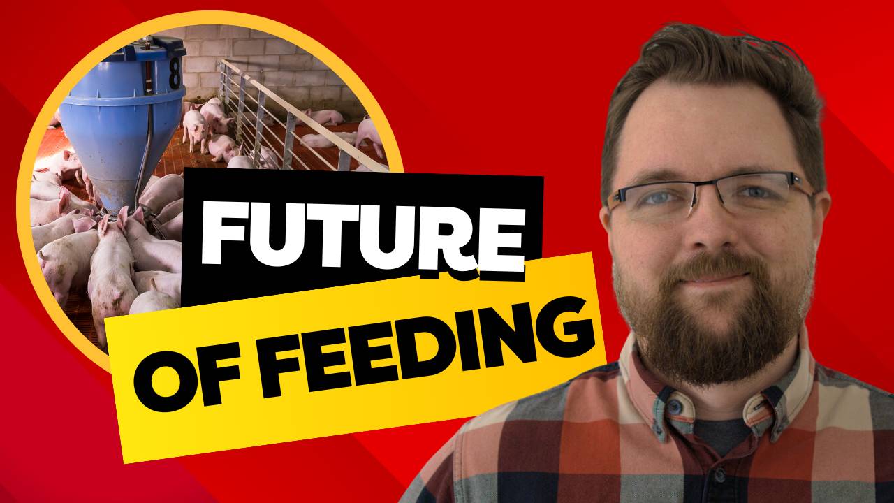 Casey Forsyth: Data-Driven Swine Feed | Ep. 247