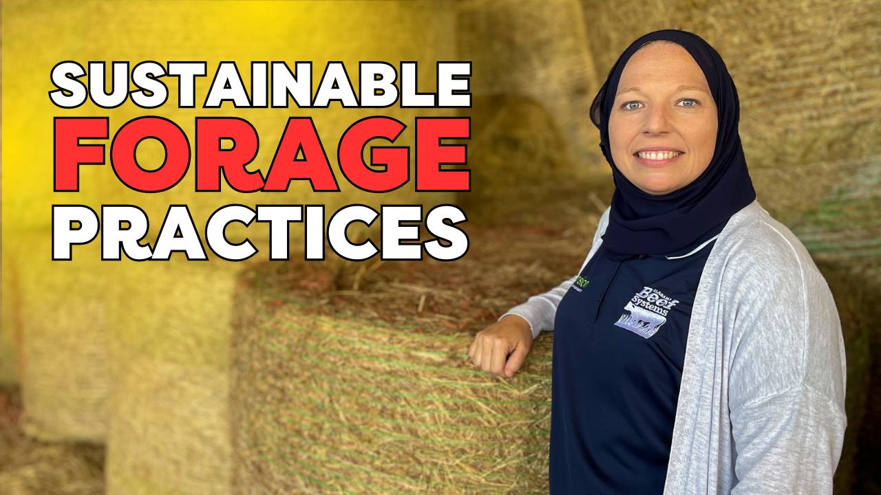 Dr. Leanne Dillard: Ruminant Nutrient Management | Ep. 51