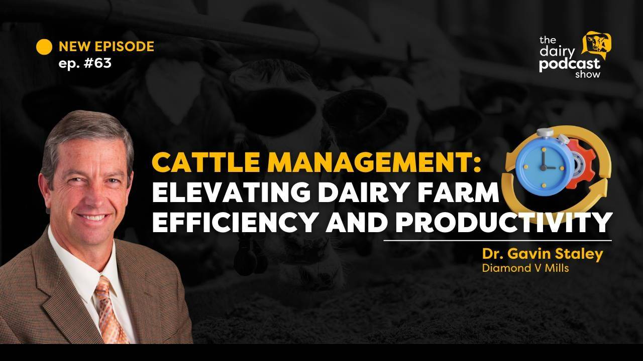Cattle Management: Elevating Dairy Farm Efficiency and Productivity
