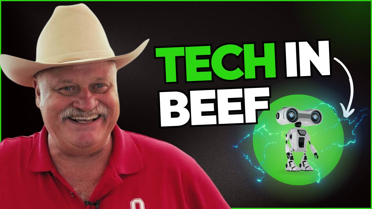 Dr. Stephen Boyles: Beef Nutrition Strategies| Ep. 71