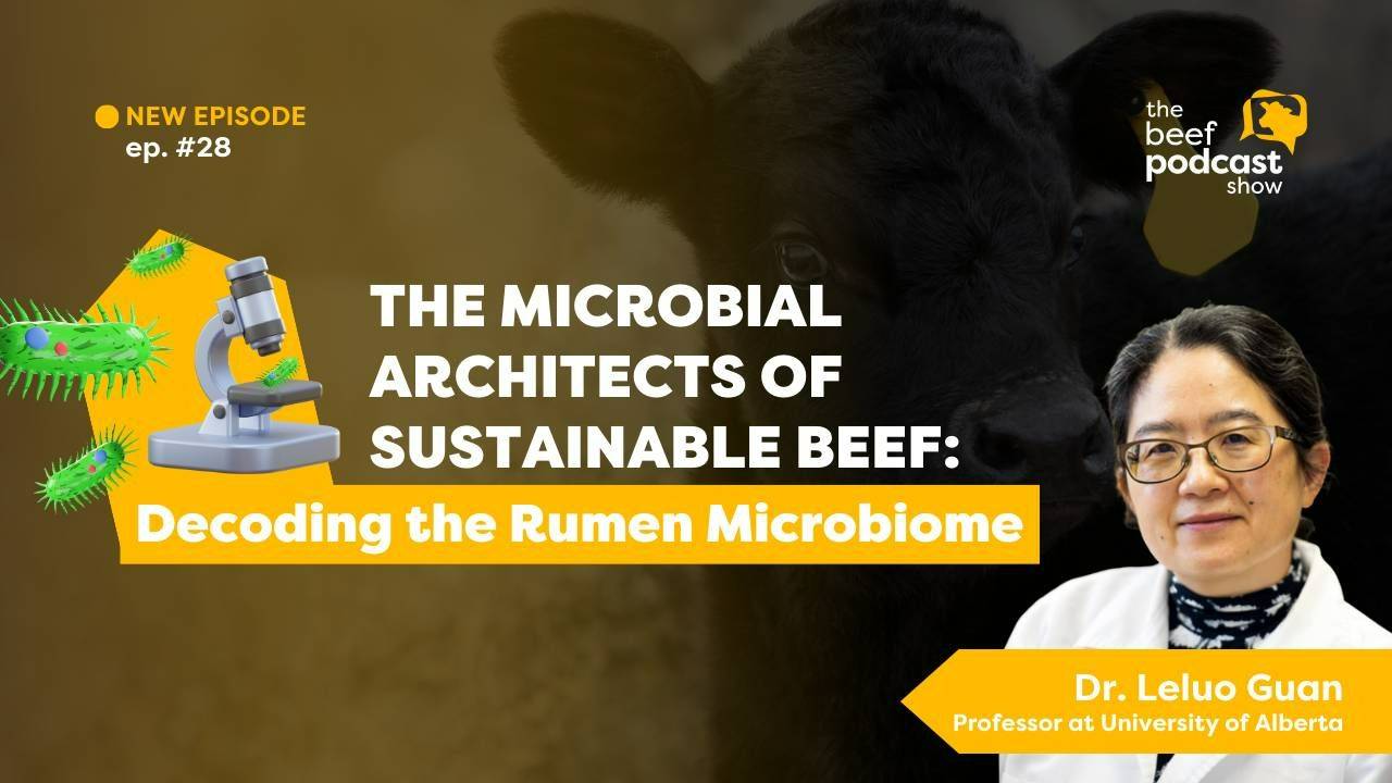 #28 - The Microbial Architects of Sustainable Beef: Decoding the Rumen