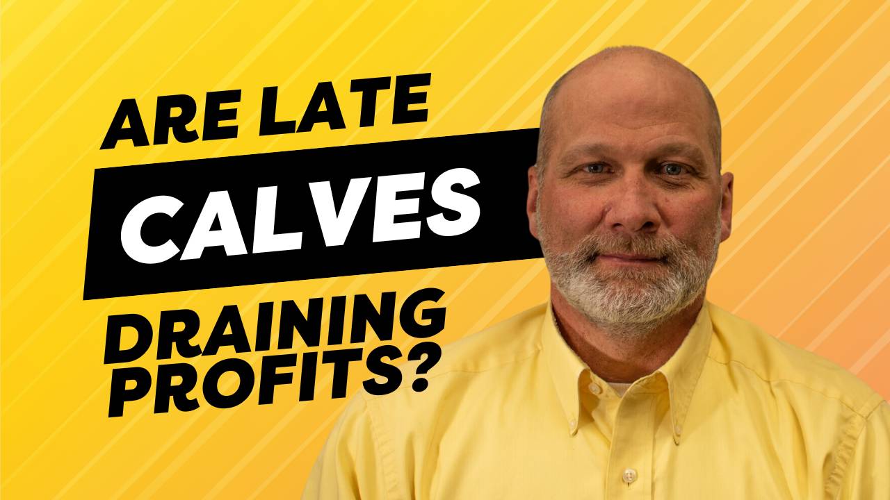 Dr. David Bohnert: Tightening Calving Distribution | Ep. 115