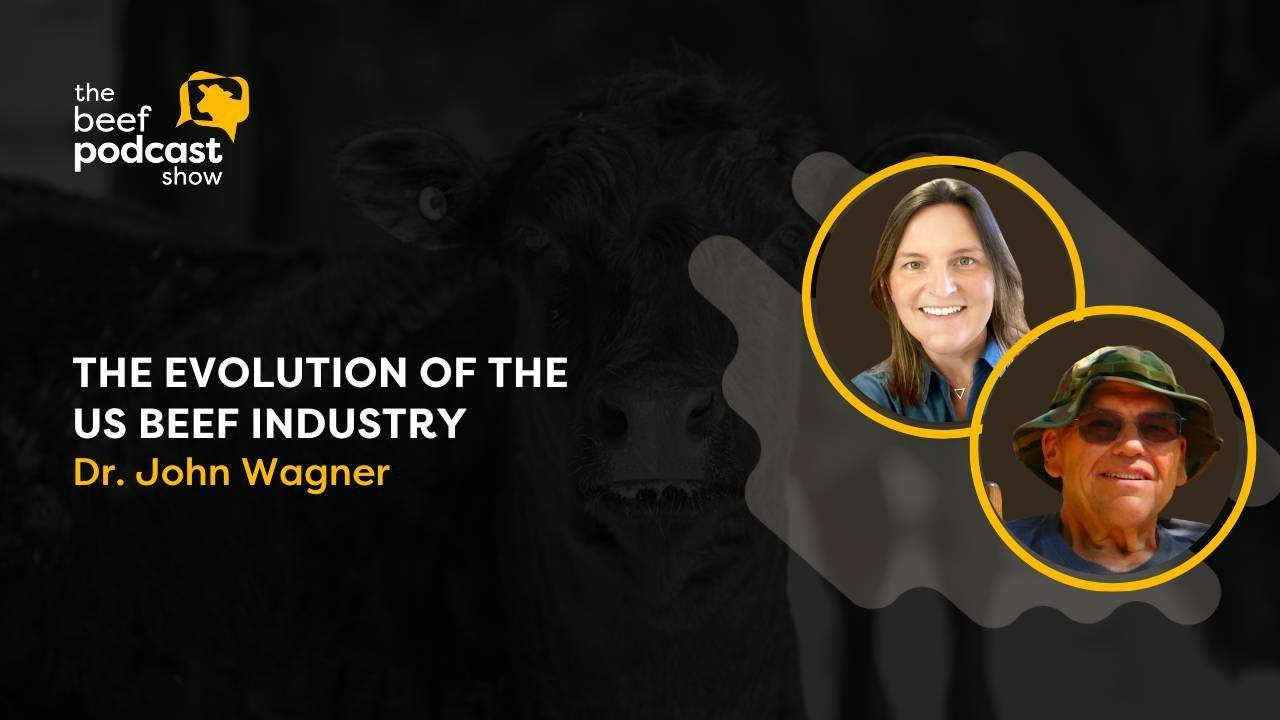 #13 - The evolution of the US beef industry